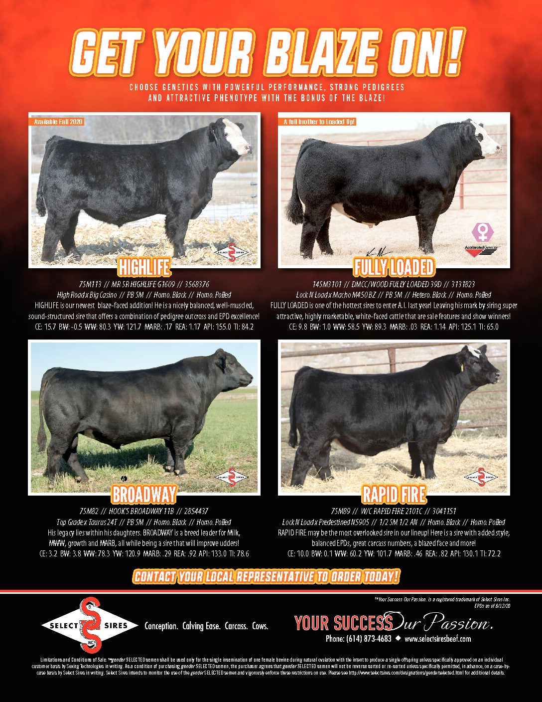 Flyers - Select Sires Beef