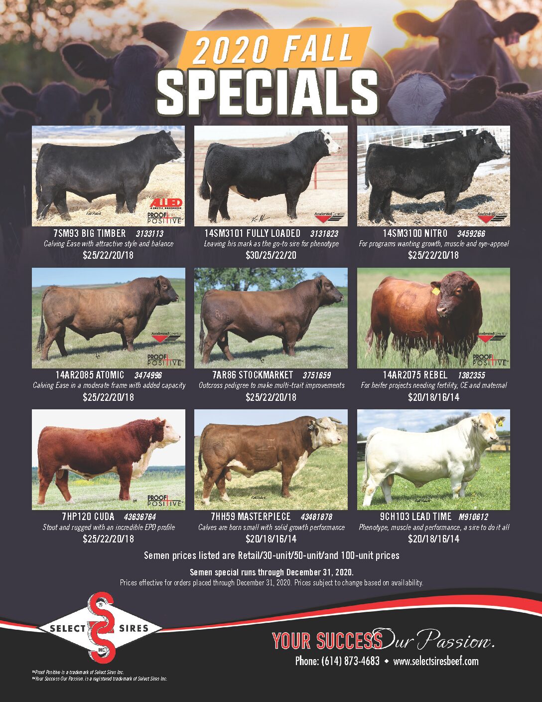 Flyers - Select Sires Beef
