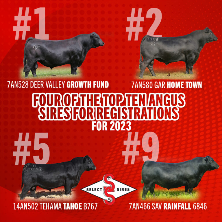 Select Sires Beef