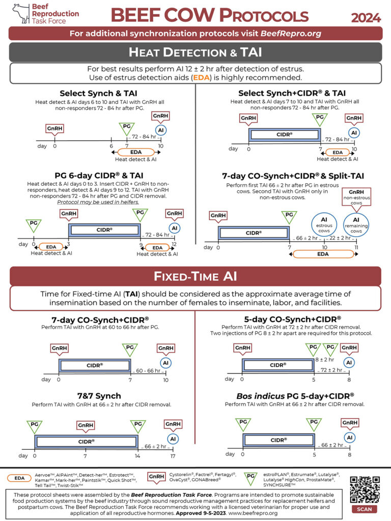 Beef Cow Synch Protocols - Select Sires Beef